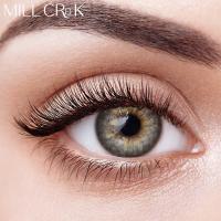 China Prescription Colored Single Day Contact Lenses Daily Soft Contacts 14mm Diameter for sale
