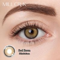 China Soul Brown Eye Contacts For Dry Eyes Watery Eyes Contact Lenses Soft 48% Water Content for sale