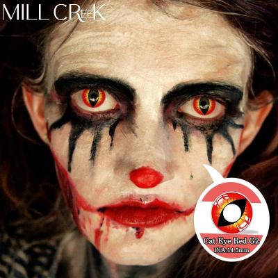 China HEMA Cat Eye Contact Lenses 10DK/T Oxygen Permeability Comfortable Cat Eye Colored Contacts for sale