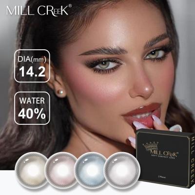 China 14.2mm Diameter 8.5mm Base Curve Yearly Disposable Contact Lenses Eye Lens Yearly for sale