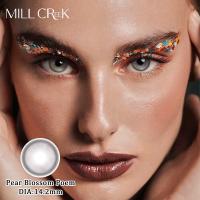 China 14.2mm Diameter 8.5mm Base Curve Yearly Disposable Contact Lenses Eye Lens Yearly for sale