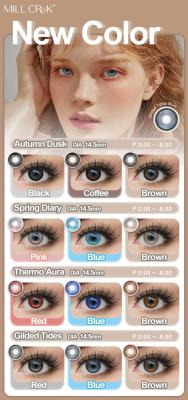 China Soft 2 Pieces Yearly Disposable Color Contact Lenses Yearly Prescription Contact Lenses for sale