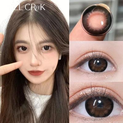 China Minimalist Style 1 Day Contact Lenses Daily Eye Contacts Soft Millcreek Lenses for sale