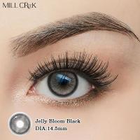 China Disposable Yearly Colored Contact Lenses 0.00~-8.00 Prescription Power 14.5mm Diameter for sale