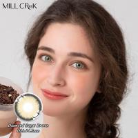 China 14.5mm Diameter Prescription Contact Lenses 40% Water Content For Eight Hours Use for sale