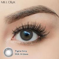 China Brown Daily Disposable Lenses Grey High Comfort Level 14.2mm Diameter for sale
