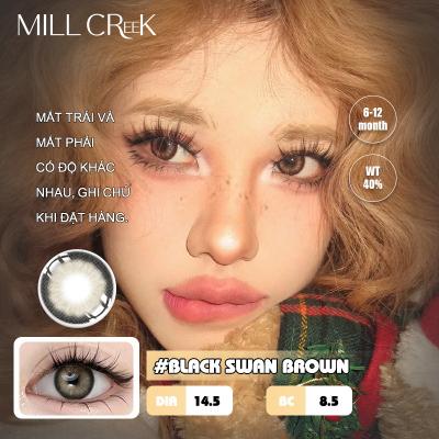 China Natural Cosmetic Contact Lenses Millcreek Lenses 14.5mm Diameter In Brown Grey Color for sale