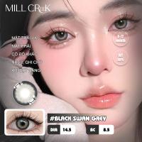 China Natural Cosmetic Contact Lenses MILLCREEK Lenses 14.5mm Diameter In Brown Grey Color for sale