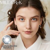 China Ancient Asian Grey Contact Lenses Daily Disposable Lenses 14.5mm Diameter for sale