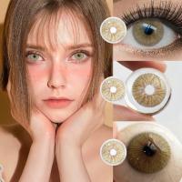 China Mill Creek Angeles N Brown Yearly Colored Contact Lenses with Soft Natural Brown Tone and Gentle Enlarging Effect Made from High-Quality HEMA-NVP Material for sale