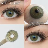 China 14.2mm Gray Yearly Contact Lenses with 40% Water for sale