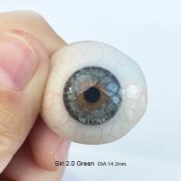China Siri 2.0 Green Color Contact Lenses 14.2mm Daily & Yearly CE ISO for sale