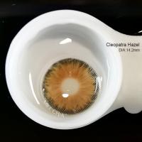 China Cleopatra Hazel Yearly Colored Contact Lenses with 14.2mm Diameter and Base Curve 8.5 for Natural Eye Depth for sale
