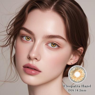China Cleopatra Hazel Yearly Colored Contact Lenses with 14.2mm Diameter and Base Curve 8.5 for Natural Eye Depth for sale