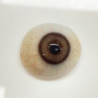 China Natural Hazelnut Latte Brown Contact Lens with 14.2mm Diameter and CE ISO Certification for Yearly Wear for sale