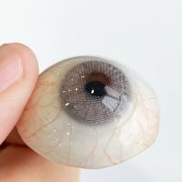 China Mulberry Grey Contact Lens 14.00mm for Balanced Eye Definition and Daily Disposable Comfort for sale