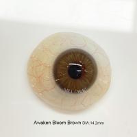 China Awaken Bloom Brown Colored Contact Lens with 14.5mm Diameter and 40% Water Content - CE & ISO Certified Yearly Lens for sale
