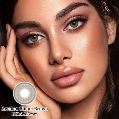 China Awaken Bloom Brown Colored Contact Lens with 14.5mm Diameter and 40% Water Content - CE & ISO Certified Yearly Lens for sale