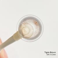 China Tigris Brown Yearly Colored Contact Lenses with 14.2mm Diameter and 40% Water Content CE ISO Certified for sale