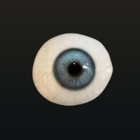 China Casablanca Blue 14.2mm Yearly Cosmetic Contact Lens, OEM Supplier Factory Direct for sale
