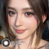 China Wild Oud Coffee 14.5mm Toric Yearly Disposable Contact Lenses with Astigmatism Correction and Natural Brown Tone for sale