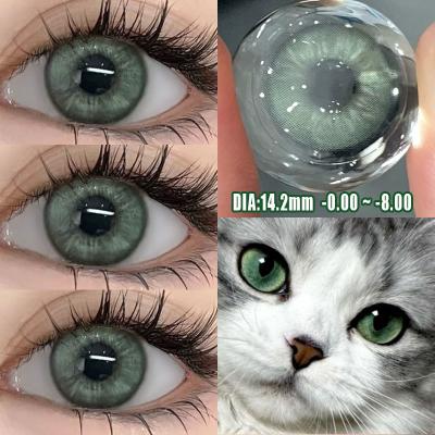 China Frozen Green 14.2mm Diameter Yearly Disposable Contact Lenses with 0.08mm Thickness for sale