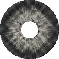 China Pattaya Grey 14.2mm Yearly Disposable Contact Lenses with Natural Grey Eye Enhancement for sale