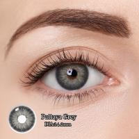 China Pattaya Grey 14.2mm Yearly Disposable Contact Lenses with Natural Grey Eye Enhancement for sale