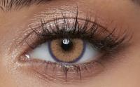 China Green Grape Brown 14.0mm Yearly Contact Lenses with 40% Water Content and Two-Tone Design for sale