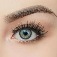 China Lan Cat Blue 14.2mm Yearly Disposable Contact Lenses with Natural Blue Eye Effect and Comfortable Wear for sale