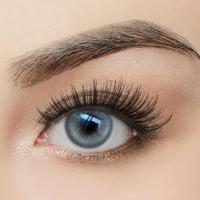 China MillCReeK William Hare Blue 14.5mm Natural Style Contact Lenses for Beauty Enhancement for sale