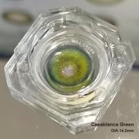 China Casablanca Green 14.2mm Yearly Disposable Contact Lenses with 40% Water Content and 8.6 Base Curve for sale
