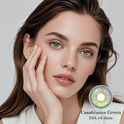 China Casablanca Green 14.2mm Yearly Disposable Contact Lenses with 40% Water Content and 8.6 Base Curve for sale