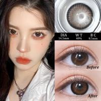 China Millcreek Ginger Lily 14.5mm Diameter K-Beauty Aesthetic Colored Contact Lenses with 40% Water Content for sale
