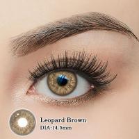 China Millcreek Leopard-brown 14.5mm Daily Disposable Colored Contact Lenses with 55% Water Content for Exotic Style for sale