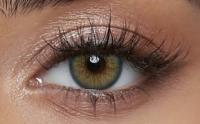 China Millcreek Hybrid Kitten Green 14.2mm Diameter 0.08mm Thickness 55% Water Content Daily Disposable Colored Contact Lenses for sale