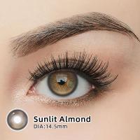 China MILLCREEK Crush Alert Brown 14.5mm Daily Disposable Contact Lenses with Highlight Positioning for sale