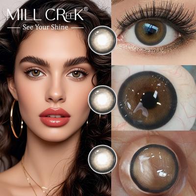 China Frost Amber 14.5mm Yearly Disposable Contact Lenses with 40% Water Content and BC 8.6 for Big Eye Effect for sale