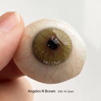 China Angeles N Brown 14.2mm Natural Brown Yearly Disposable Contact Lenses with K-Beauty Style for sale