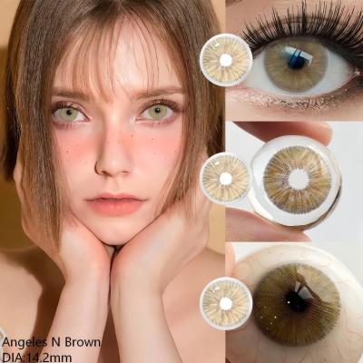 China Angeles N Brown 14.2mm Natural Brown Yearly Disposable Contact Lenses with K-Beauty Style for sale