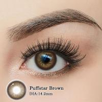China MILLCREEK Puffstar Brown 14.2mm Diameter Honey Amber Gradient Yearly Colored Contact Lenses with 40% Water Content for sale