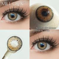 China Exotic Stunna Girl Brown 14.2mm Yearly Soft Contact Lenses with Dark Spot Iris Pattern - CE & ISO Certified for sale