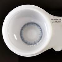 China Radiant Aqua Duck Blue 14.2mm Yearly Soft Contact Lenses with Natural Misty Effect for sale