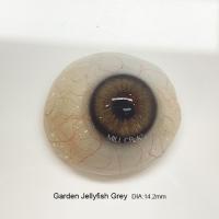 China Misty Grey Halo Yearly Contact Lenses 14.2mm - Garden Jellyfish Design for Natural Iris Blending for sale
