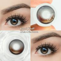 China MILLCREEK  Lumi Fluff Highlight  Contact Lenses 40% Water Content HEMA  Yearly 14.2mm for sale