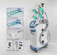 China 360 Cryolipolysis Body Slimming Machine for sale