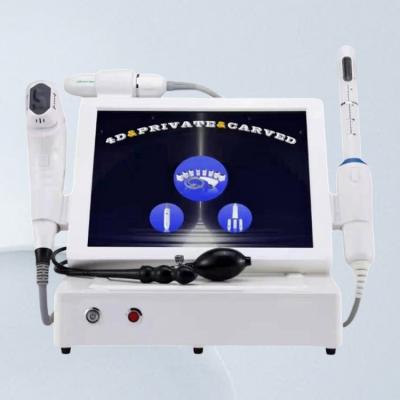 China Microneedling Vmax Vaginal 3.0mm 4.5mm Hifu 4d Ultra Vmax Machine 200W for sale