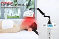 China Digital Control Facial PDT LED Light Therapy Machine 273 Pcs Beads for sale