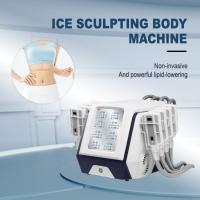 China Non Vacuum Pads Cryolipolysis Fat Freeze Slimming Machine OEM ODM for sale