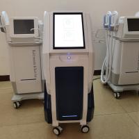 China Body Slimming Cryolipolysis Machine 360 Surround Cooling Cryotherapy Machine for sale